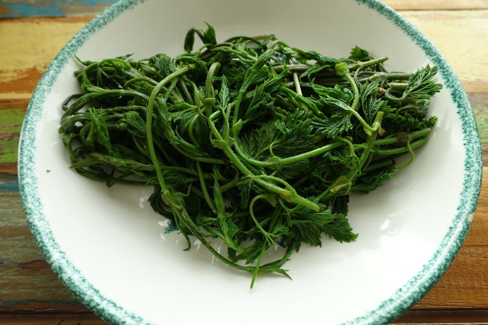 In fremde Töpfe geschaut: Teresas Risotto mit Hopfen – linzersmileys